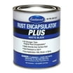Eastwood High Temp Coating Paint Metal Rust Encapsulator, UV & Heat ...