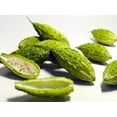 Bitter Melon/Bitter Gourd Seeds - Momordica charantia - 10 Seeds for ...