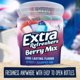 Extra Refreshers Berry Mix Sugar Free Chewing Gum - 40 Piece Bottle ...