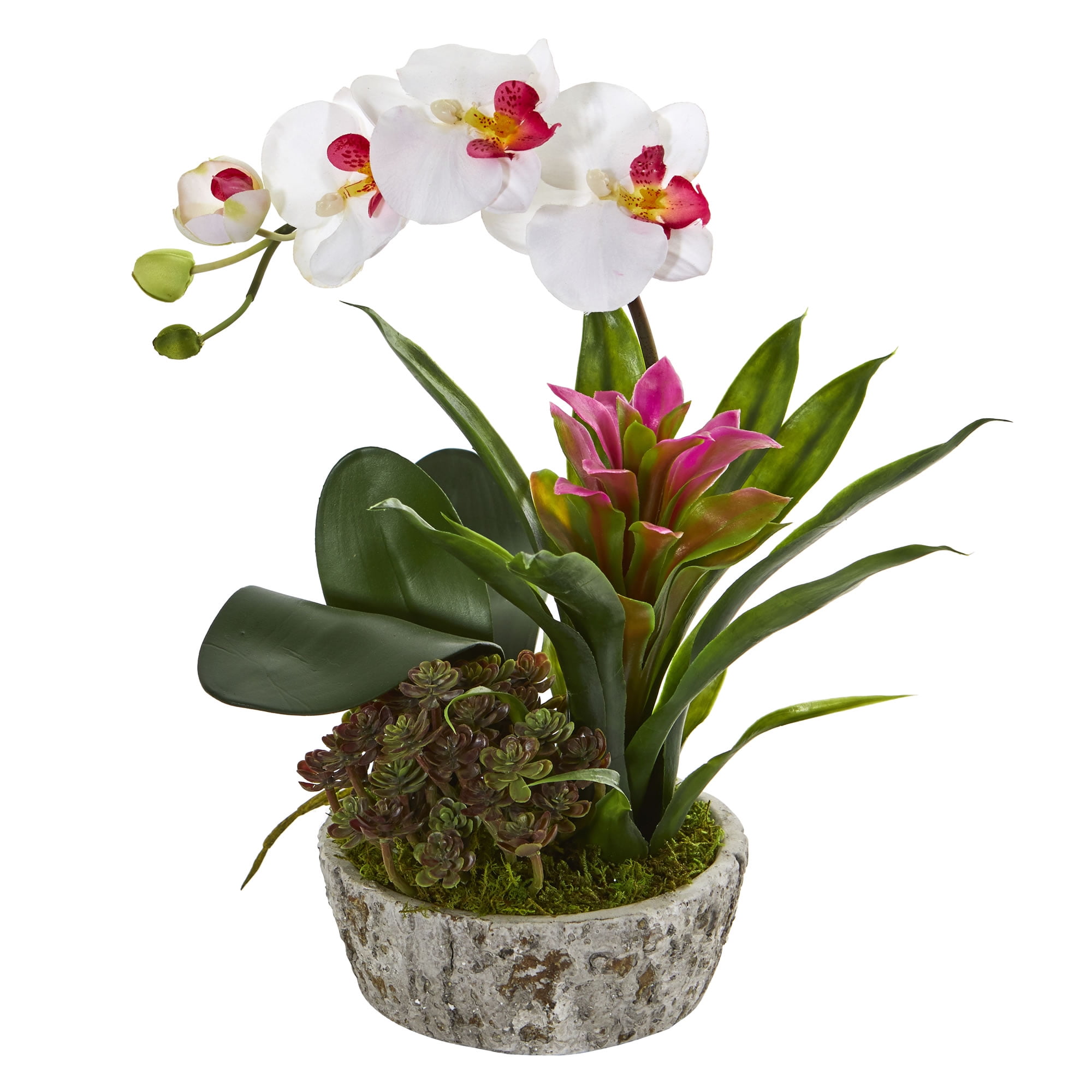 Nearly Natural Orchid, Bromeliad and Succulent Artificial Arrangement ...