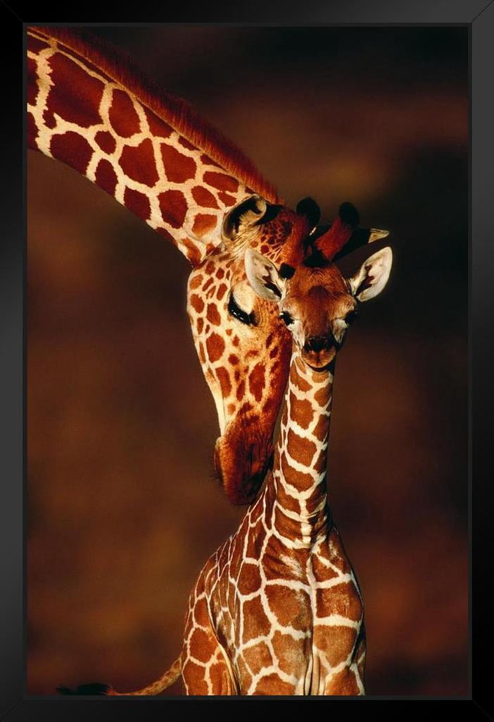 Giraffe with Calf Photo Baby Giraffe Poster Giraffe Wall Art Giraffe ...