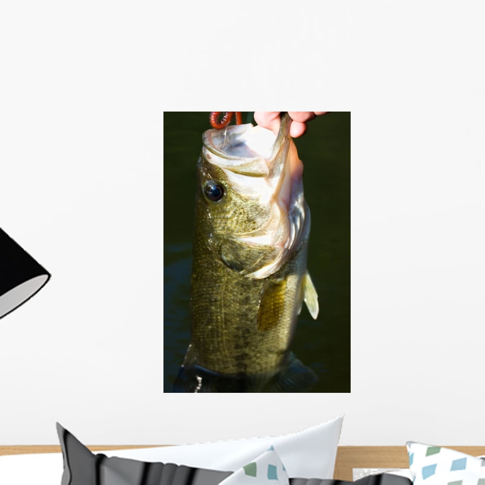 Largemouth Bass Fishing Wall Mural by Wallmonkeys Peel and Stick ...