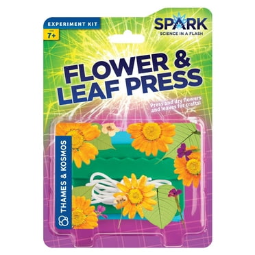 Egg Drop Kit - Walmart.com