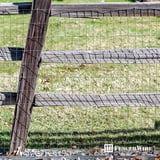 Fencer Wire 14 Gauge Coated Galvanized Welded Wire Fence Roll, 2" x 4 ...