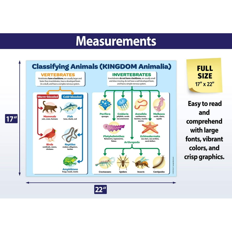 24 Differences Between Invertebrates And Vertebrates Skeletal