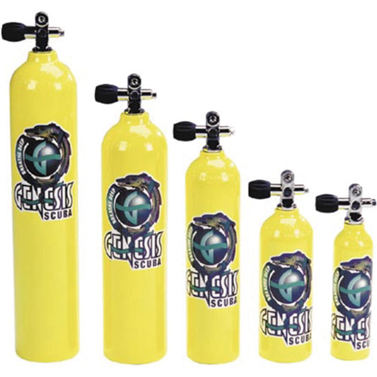Catalina Pony Bottle Tanks with Pro Valve - Walmart.com