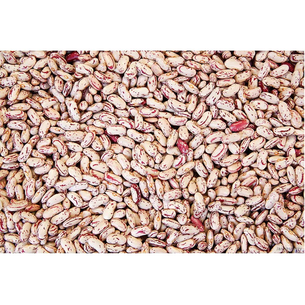 Commodity Beans (Price/Pack)Commodity Triple Clean Pinto Bean 50 Pounds ...
