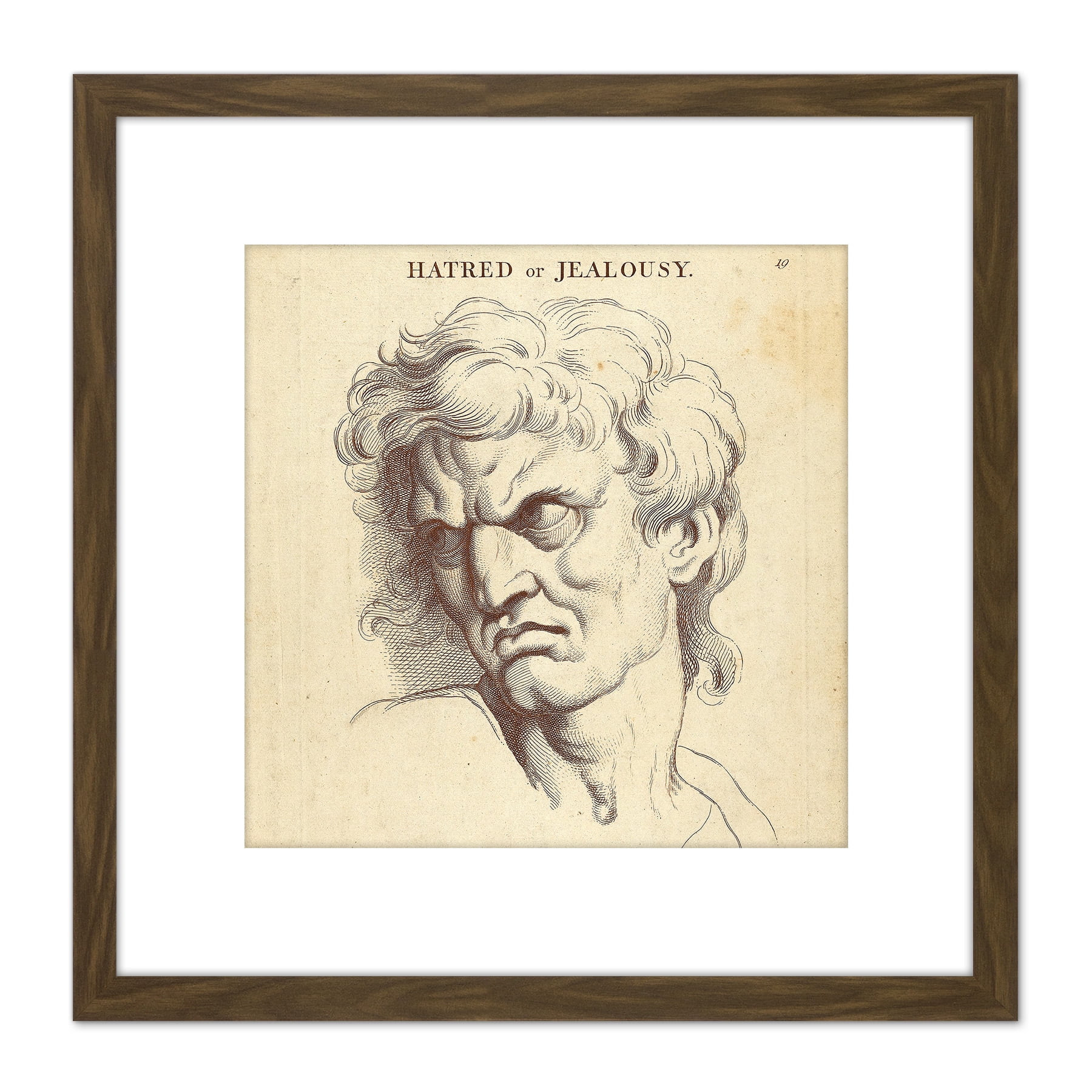 Le Brun Passion Soul Expressions Hatred Jealousy Illustration 8X8 Inch ...