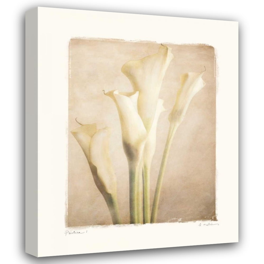 Amy Melious 15x18 Gallery Wrapped Canvas Wall Art Titled - Poetica I ...