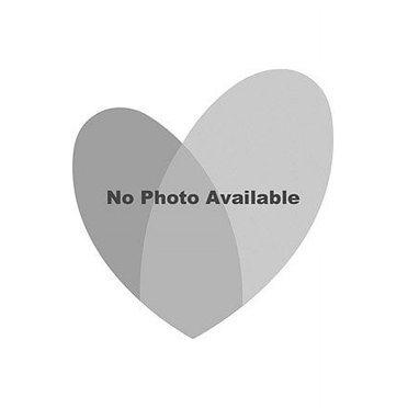 Caregiver 1" x 3" Name Tag/Badge, Brushed Gold, (3 Pack) - Walmart.com