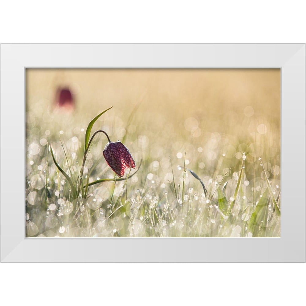 van Dongen, Anton 32x23 White Modern Wood Framed Museum Art Print ...