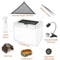 Reptile Terrarium, 15.6" X 8" X 10" Reptile Tank Starter Kit with ...