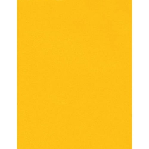 13 x 19 Cardstock - Sunflower (250 Qty.) - Walmart.com