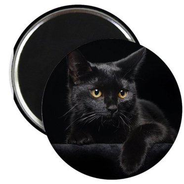 CafePress - 1980S Retro Golfer Peace Love Golf Magnets - Rectangle ...