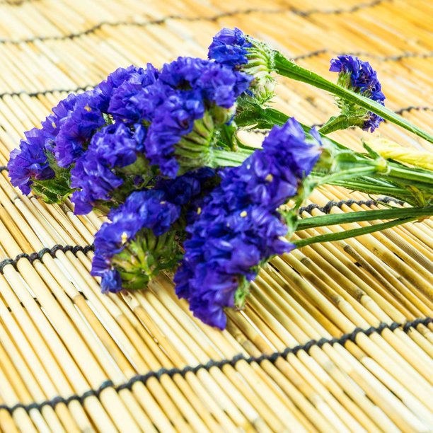 Statice Flower Garden Seeds - QIS Series - Pale Blue - 1000 Seeds ...