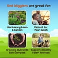 Red Wigglers Composting Worms - 1/2lb Red Worms for Composting - Use on ...