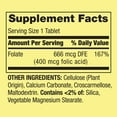 (2 pack) Spring Valley Folate Dietary Supplement Tablets, 400 Mcg, 250 ...