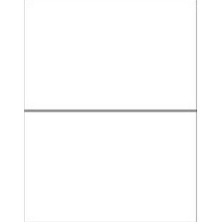Ace Label 37800L 2-Up 8.5 x 5.5 Blank Label Sheet | Walmart Canada