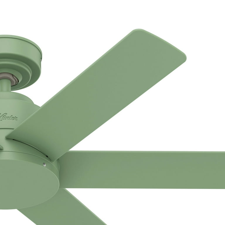 Green Ceiling Fan Hunter | Shelly Lighting