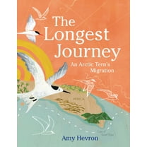 Flight School: Penguin Flies Home (Hardcover) - Walmart.com
