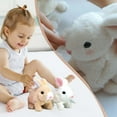 Olygee Bunny Pal, Besspub/Ribili/Petsboro Bunnypal, Betterlife Bunby ...