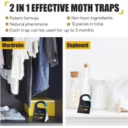 Raid Clothing Moth Trap, 12 Packs of 2 - Walmart.com