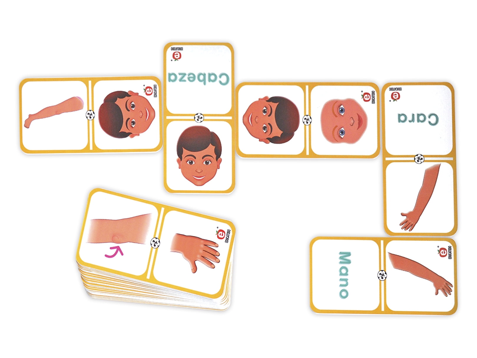 Dominó Partes Del Cuerpo Humano Educatodo J-0115 | Walmart en línea