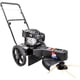 Swisher Trim-N-Mow Plus 22" 6.75 Gross Torque Gas String Trimmer ...