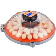 EcoGlow 20 Chick Brooder - Walmart.com