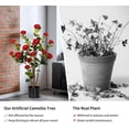 Artificial Camellia Tree 2 Pack, Artificial Plants Outdoor Faux Floral ...
