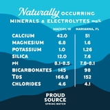 Proud Source Natural Spring Alkaline Water, 12 fl oz 8 Pack Cans ...