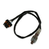 Holley EFI 554-100 Oxygen Sensor - Walmart.com