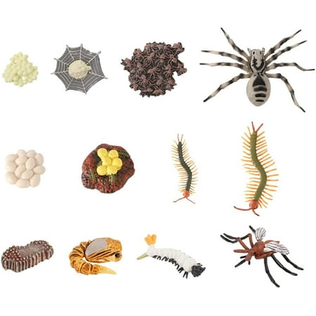 HTCM 3 Sets Life Cycle Figures Insects Growth Cycle Toy Plastic ...