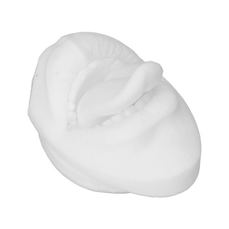 Silicone Tongue Model Set, Tongue Puncture Practice Tool Simulation ...