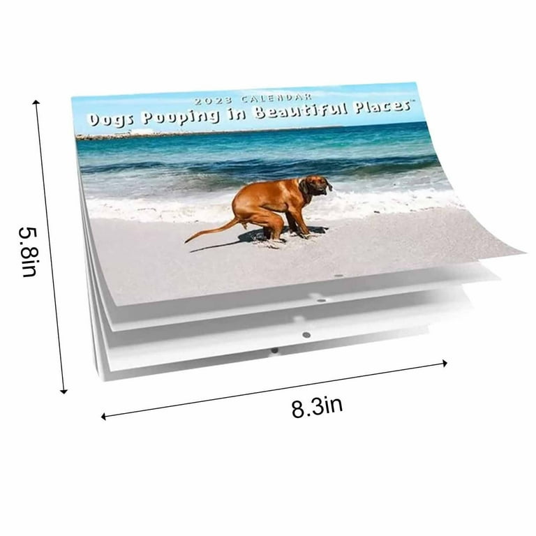 Dog Yoga Calendar 2022