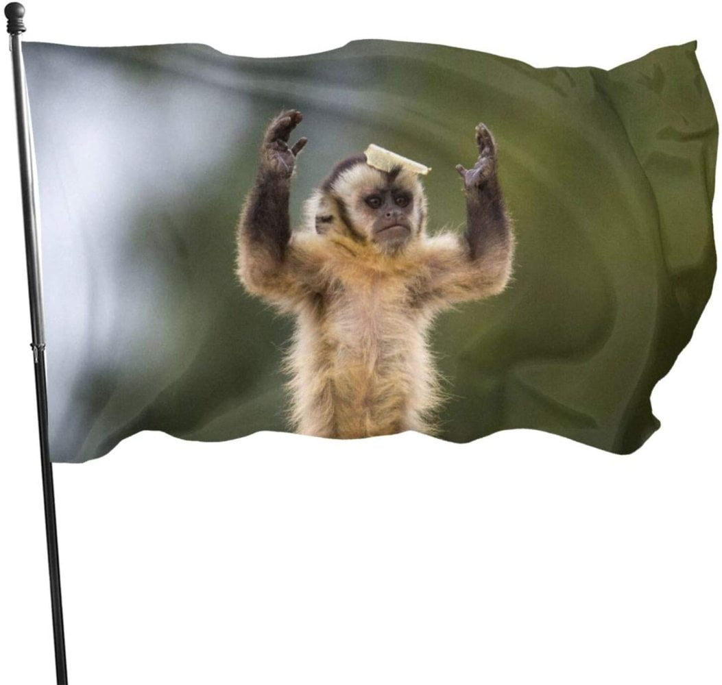 "MilcTabe Funny Monkey 3x5 Foot Polyester Flag,Fade Resistant Durable ...
