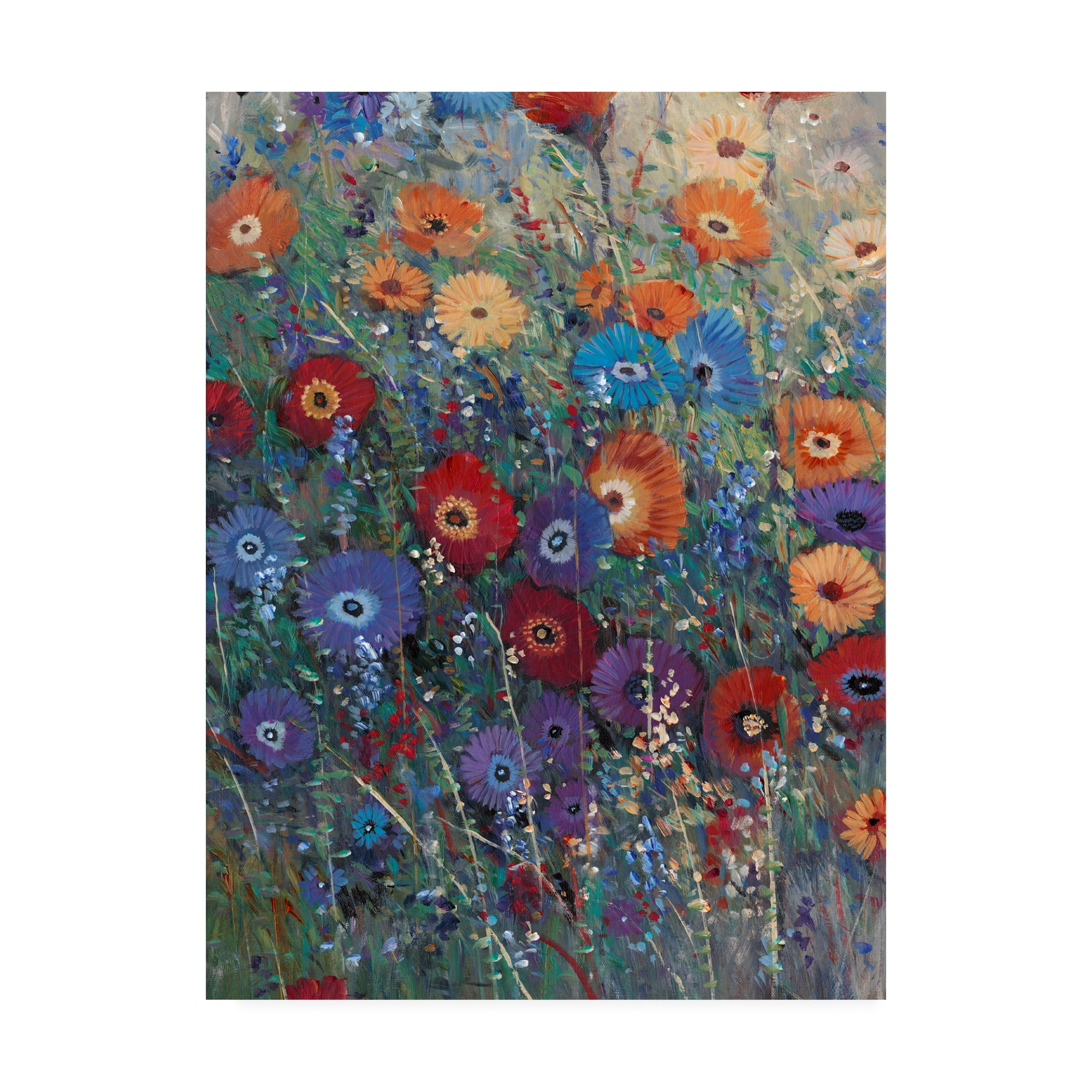 Trademark Fine Art 'Flower Patch I' Canvas Art by Tim OToole - Walmart.com
