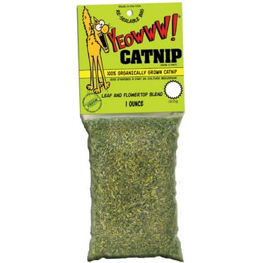 KONG Catnip Spray, 1 Ounce - Walmart.com
