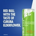 2X - Red Bull Summer Edition Curuba Elderflower Energy Drink, 12 Fl Oz ...
