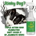 Zone Protects 119-32PS Pets Triple Action Spray, 32oz - Walmart.com