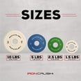 Iron Crush Fractional Change Plates for Olympic Weights, Strength ...