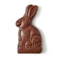 Hershey's Solid Milk Chocolate Easter Bunny, Gift Box 5 oz - Walmart.com