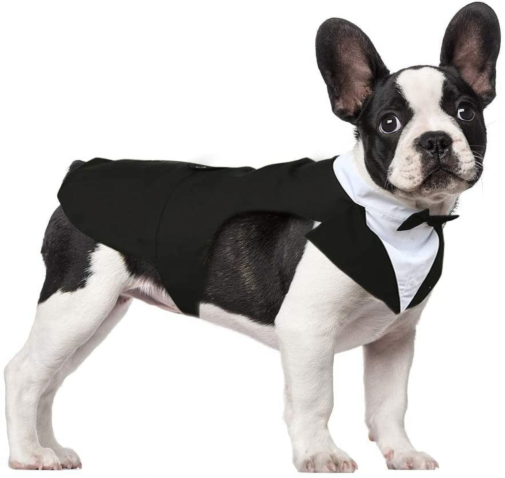 Juego de traje y pañuelo para perro, esmoquin para perros, traje de ...