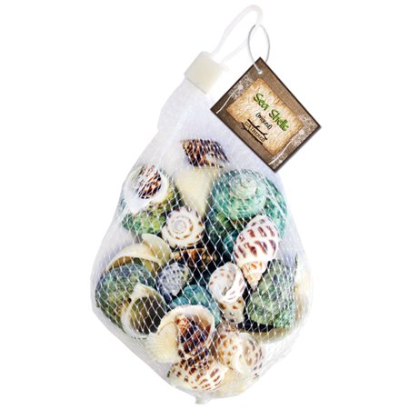 Gathered Sea Shells 4.3oz-Mixed | Walmart Canada