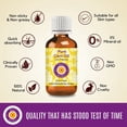Deve Herbes Corn Oil (Zea mays) - 30ml (1.01 FL Oz ) - 100% Natural ...
