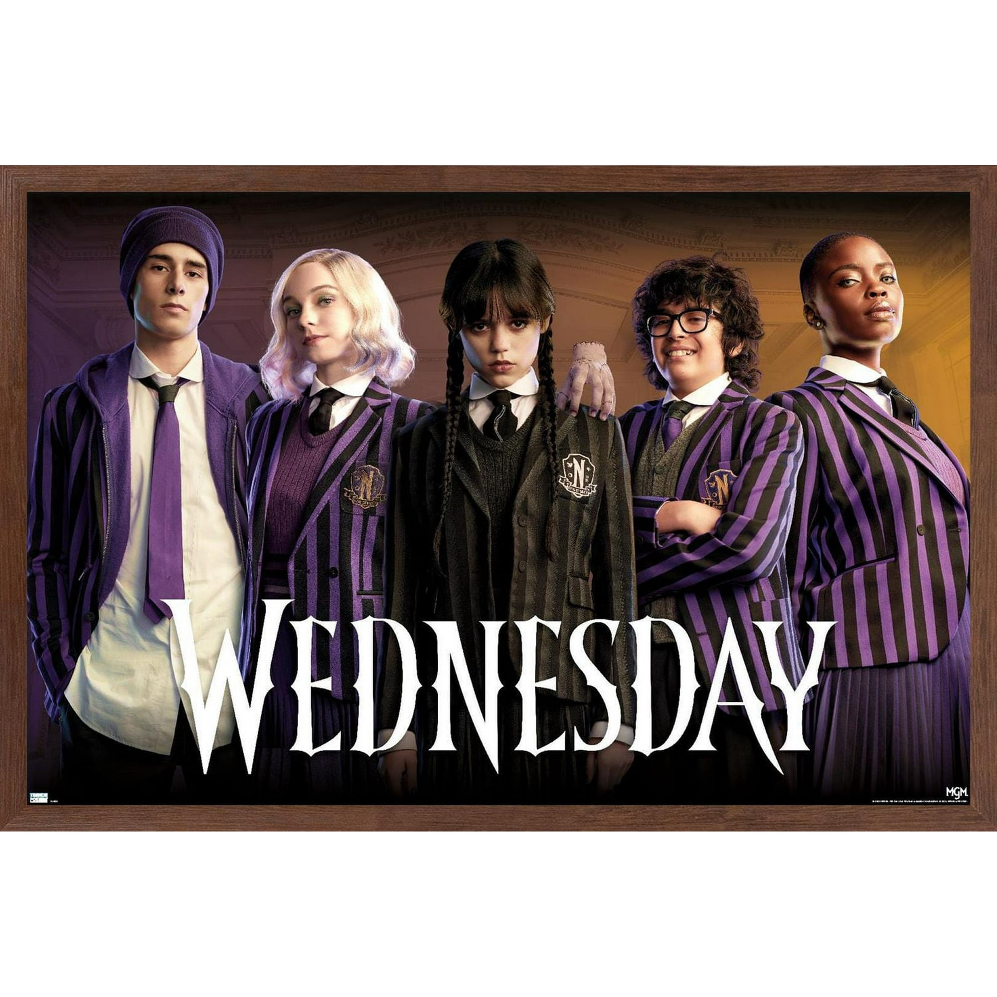 Click here for Trends International Wednesday - Group Wall Poster... prices