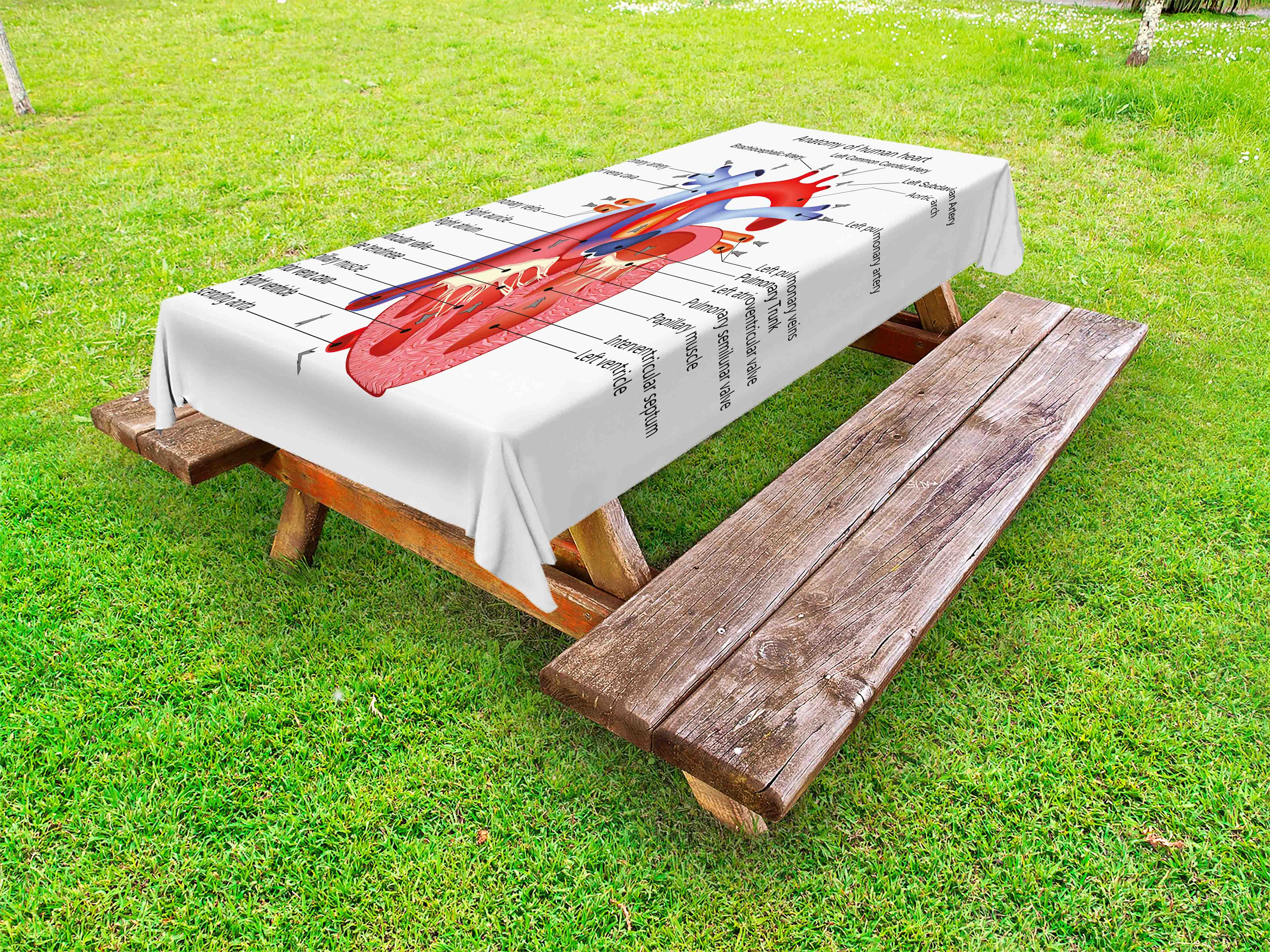 Educational Outdoor Tablecloth, Medical Structure of the Hearts Human ...