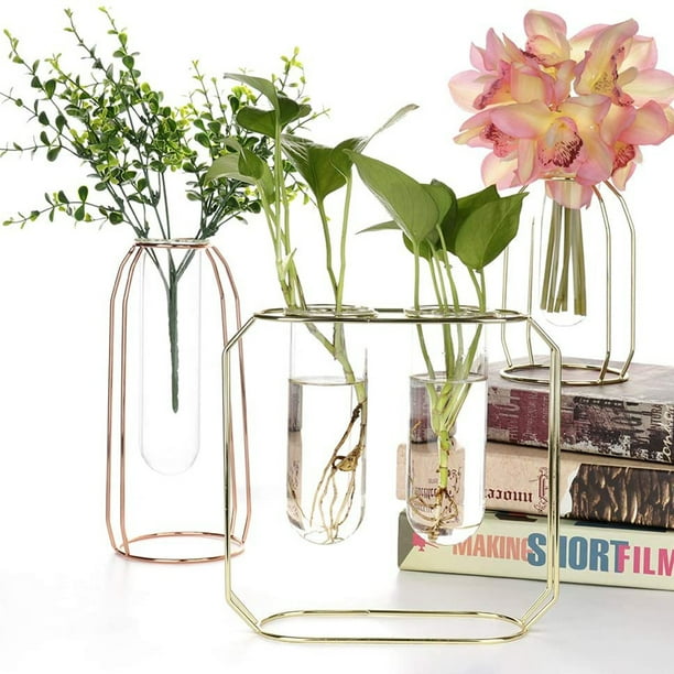 Test Tube Vases