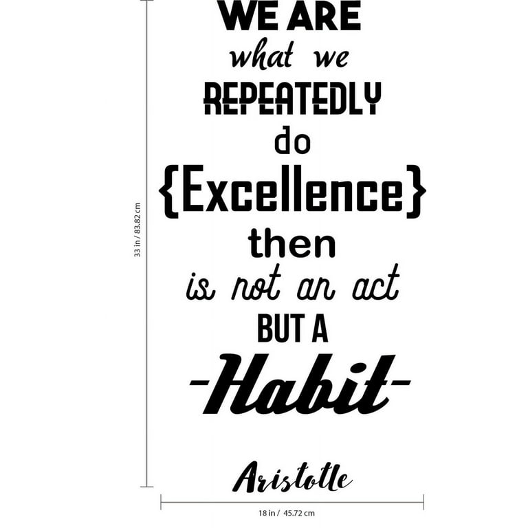Inspirational Poster Excellence Is A Habit Lma We Are What We