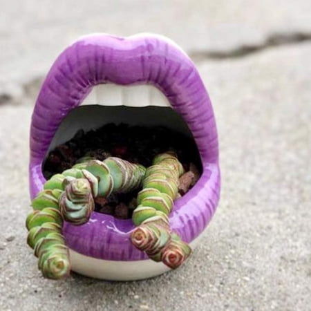 Lemonadeus Multi-Role Ceramic Sexy Lips Planter Stylish Lip Pot/Gadget ...